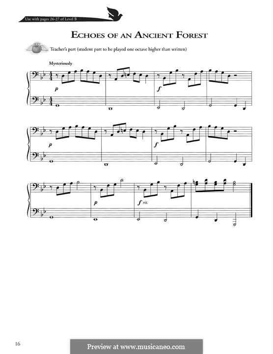 Echoes Of An Ancient Forest von D. Angerman - Noten auf MusicaNeo