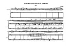 12 Prelude's for Contraforte and Piano por M. Verheul em músicaNeo