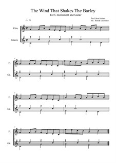 The Wind That Shakes on Barley por folklore - Partituras on músicaNeo