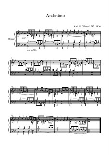 Andantino for Organ por С.F. Zöllner - Partituras on músicaNeo