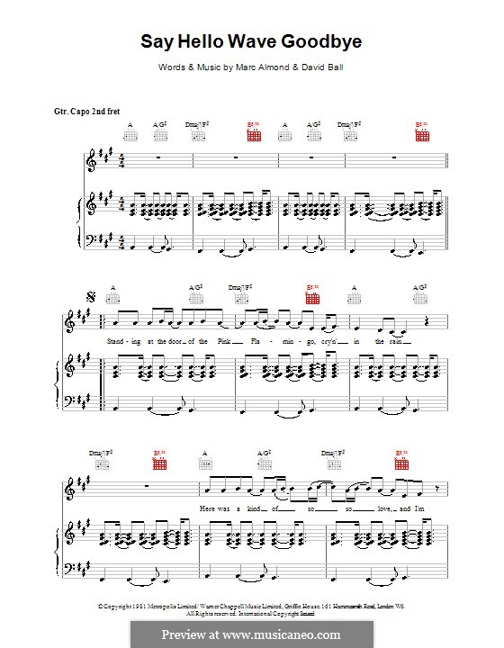 M. Almond: Say Hello, Wave Goodbye (David Gray) ноты на MusicaNeo